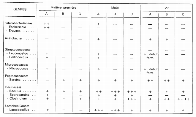 le glycerol table 5 – Boston Apothecary