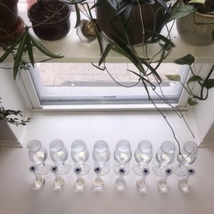 Birectifier Analysis of an Experimental Geotrichum Rum – Boston Apothecary